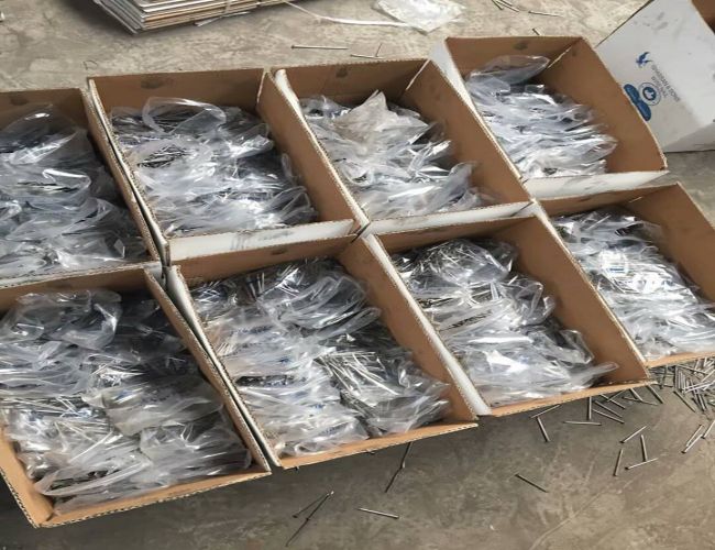 Carpentry Common Wire Nails 6 Inch Galvanized Nails