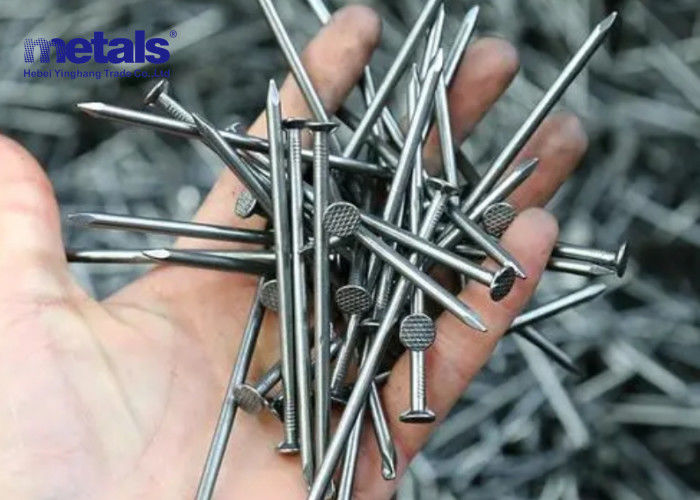 Carpentry Common Wire Nails 6 Inch Galvanized Nails