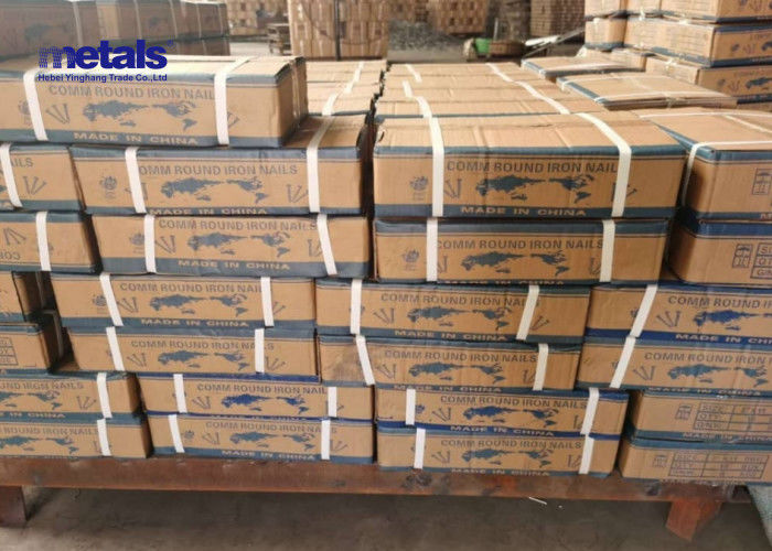 Carpentry Common Wire Nails 6 Inch Galvanized Nails